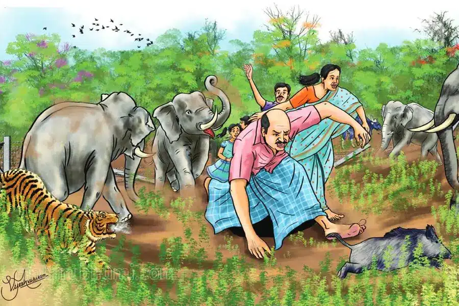 Odisha Assembly Highlights Losses in Eco-Tourism, Human-Wildlife Conflicts, and Illegal ...