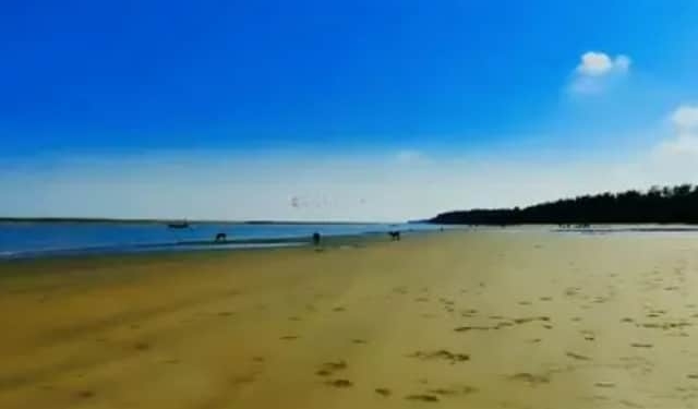 Illegal Liquor Sales Tarnish Udaypur Beach in Balasore - Pragativadi I ...