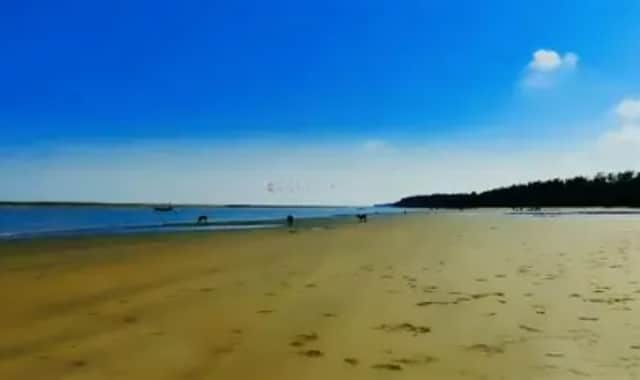 Illegal Liquor Sales Tarnish Udaypur Beach in Balasore - Pragativadi I ...